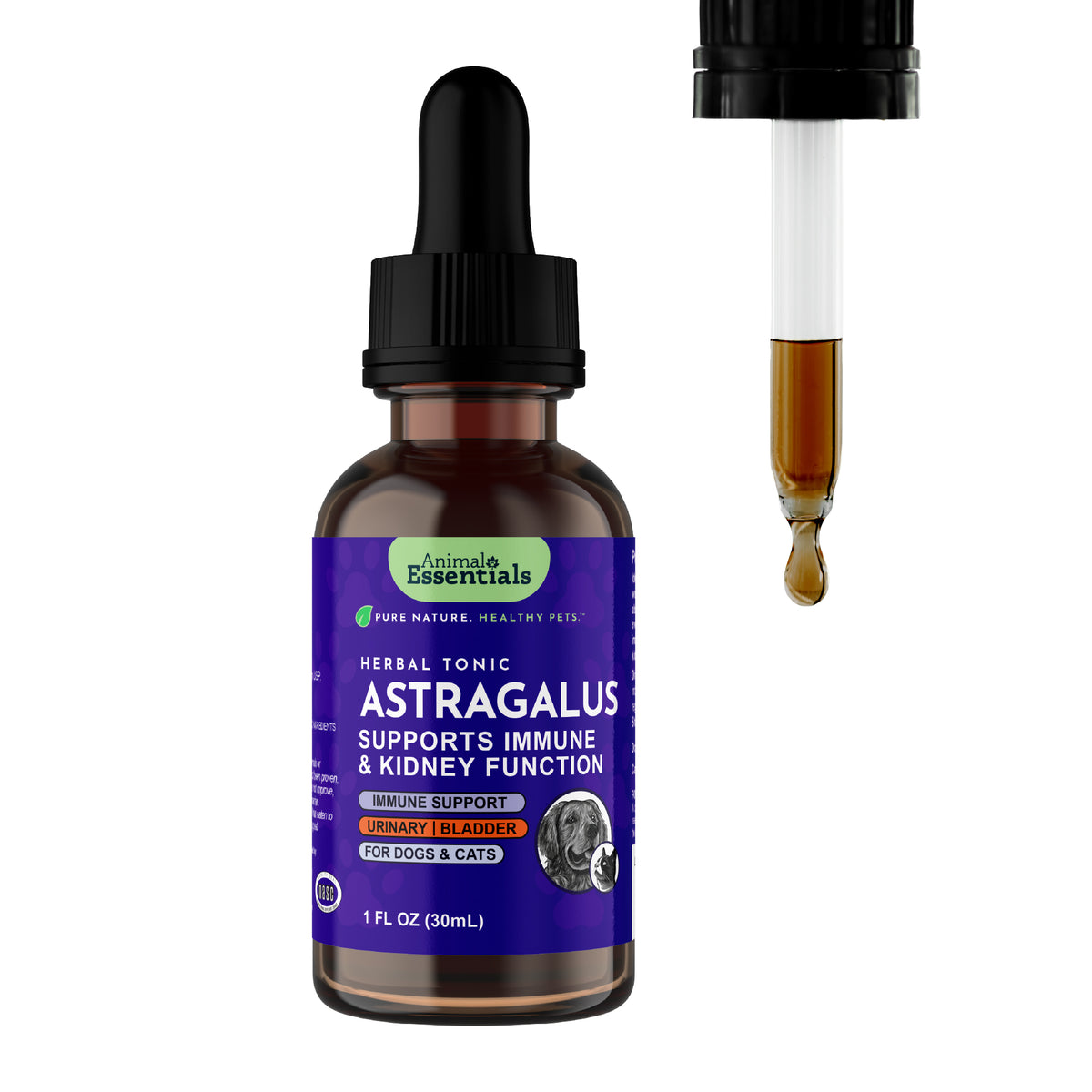 Immune & Vitality Support for Dogs & Cats | Astragalus Herbal Formula ...